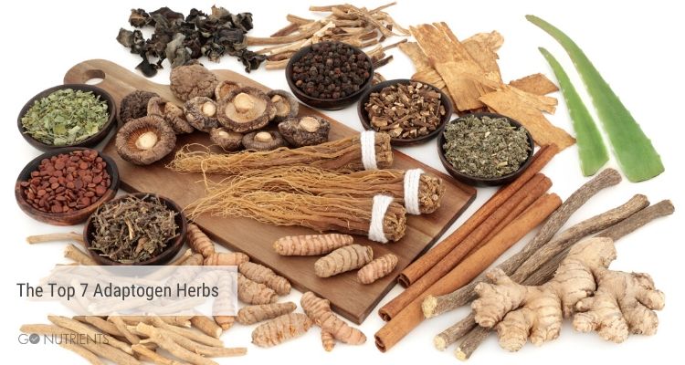 The Top 7 Powerful Adaptogen Herbs - Go Nutrients Blog The Top 7 Powerful Adaptogen Herbs - Go Nutrients Blog
